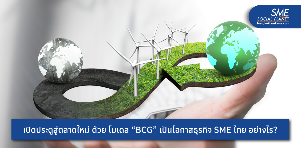 bangkok bank sme รวมข้อมูล ข่าว สาระความรู้ เพื่อคนทำธุรกิจ เอสเอ็มอี